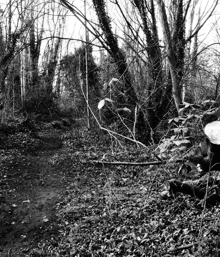 Forgotten Spaces at Imagine! 2023