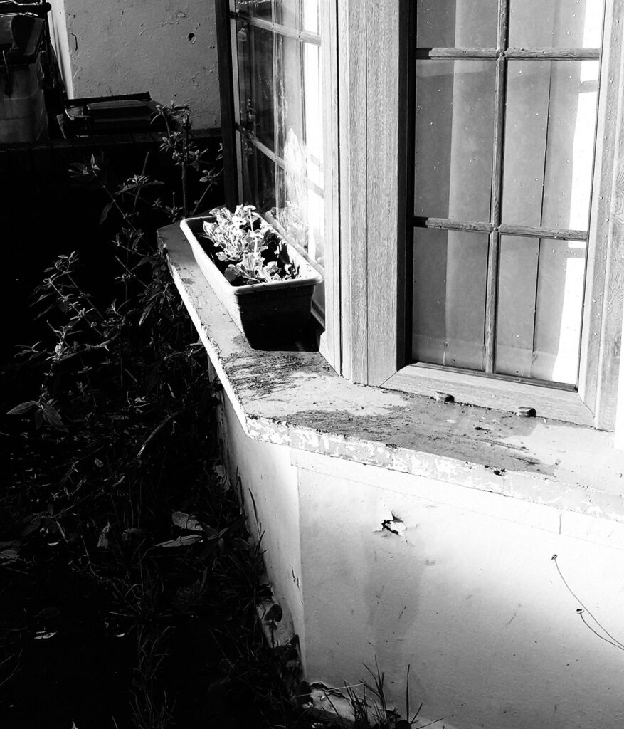 Forgotten Spaces at Imagine! 2023