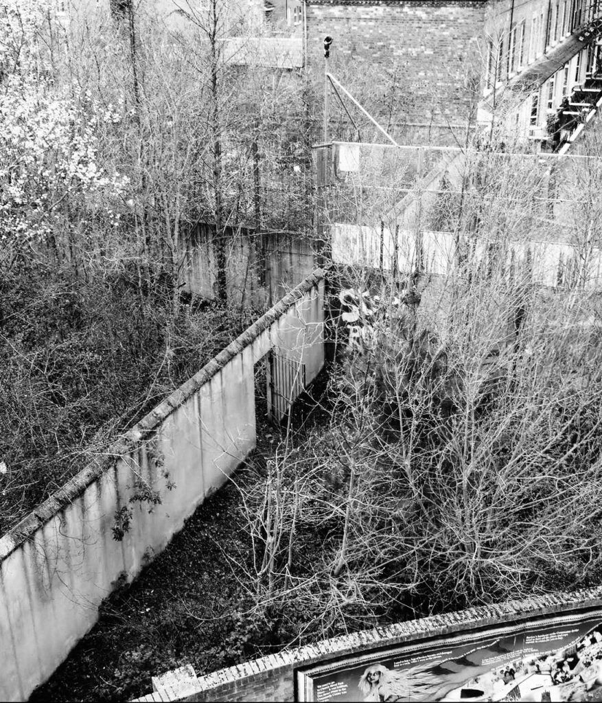 Forgotten Spaces at Imagine! 2023