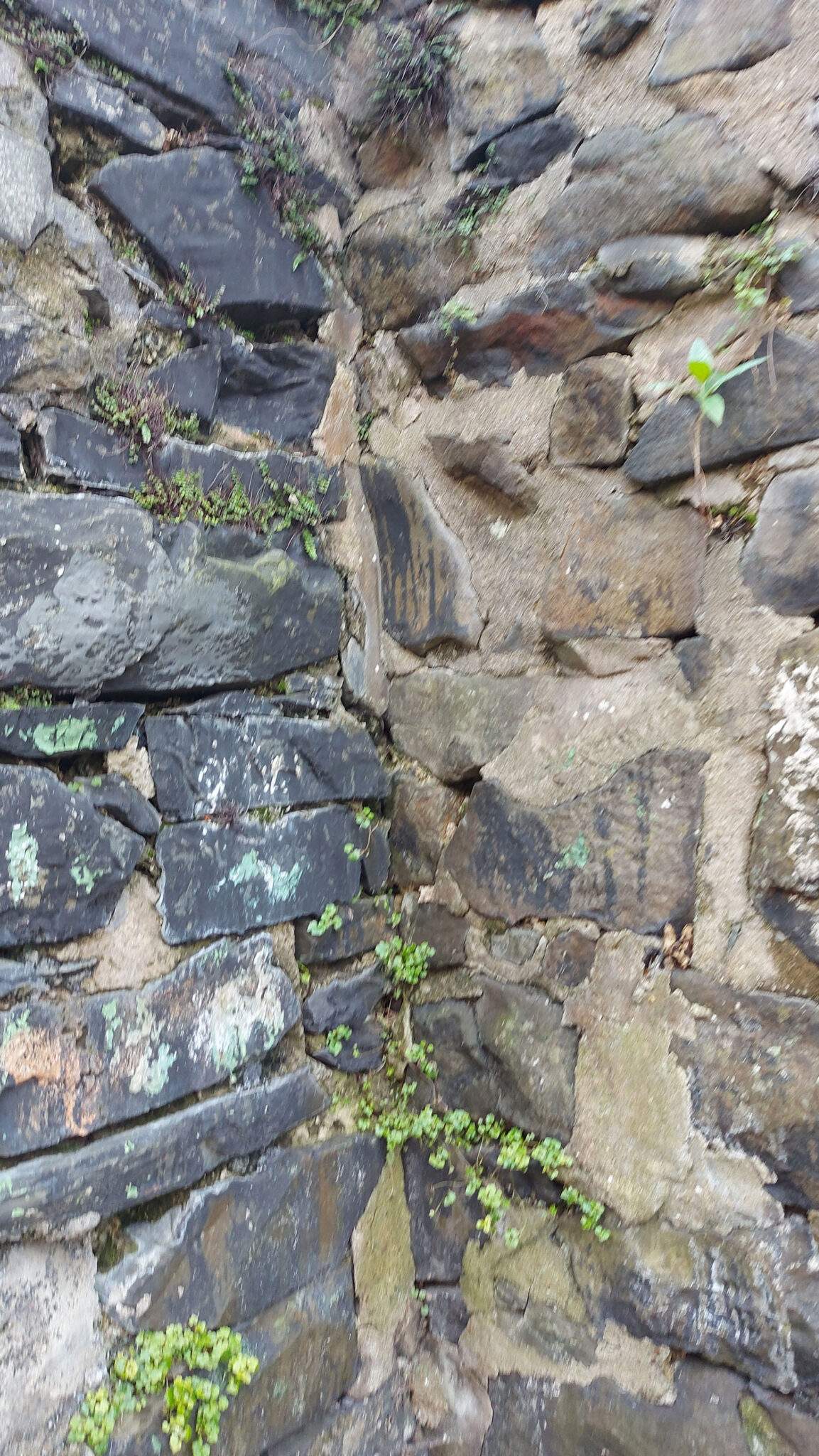 Missing Wall - Forgotten Spaces